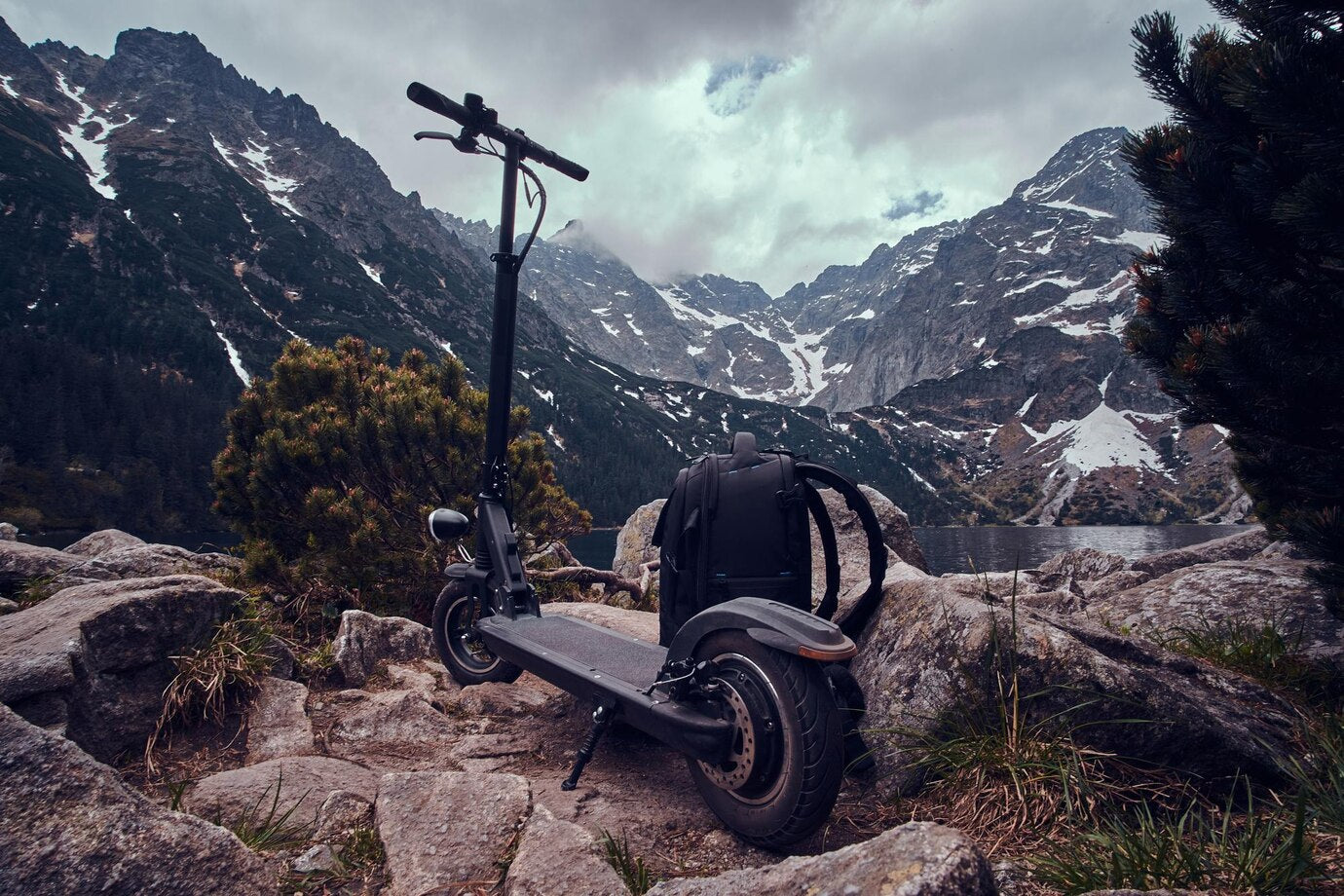 Fast Off-Road Electric Scooters: Ultimate Guide